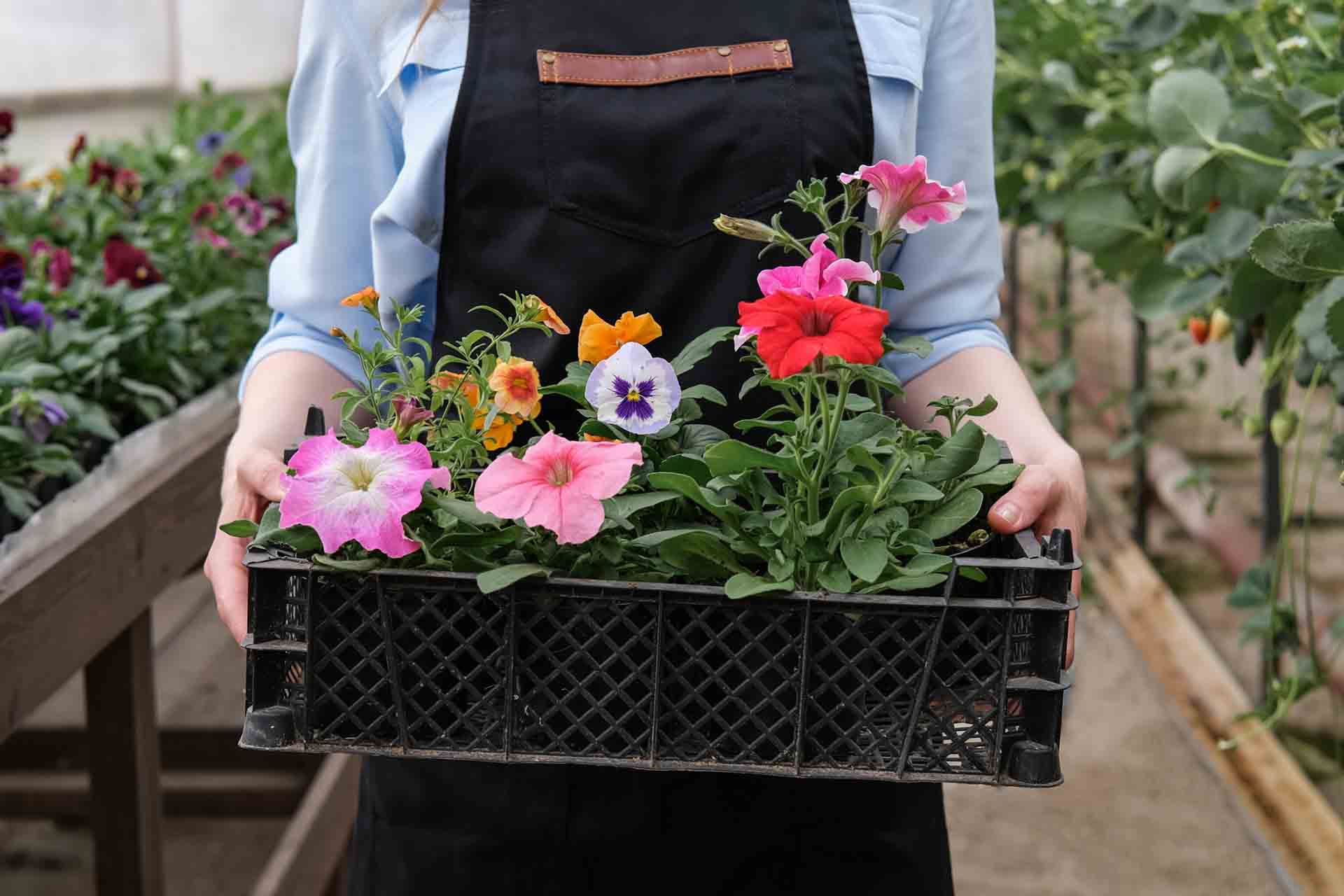 Contact - Agro Connect